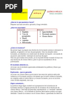 EXPERIMENTO TINTA INVISIBLE CON CURCUMA_20250203_094212_0000 | PDF ...