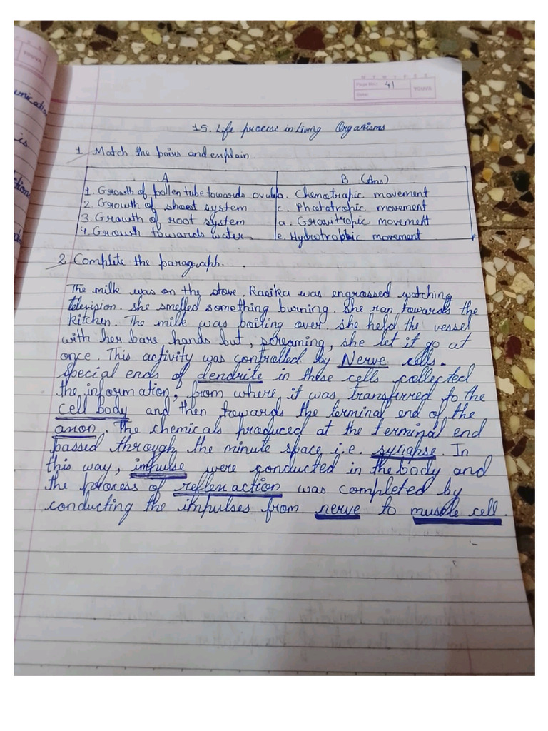 handwritten notes of class 9 ls no 15 helpful | PDF