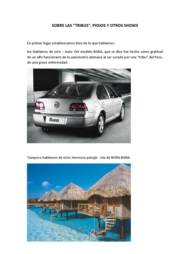 Sobre Los Bora - Perú | PDF | Tribu | Perú