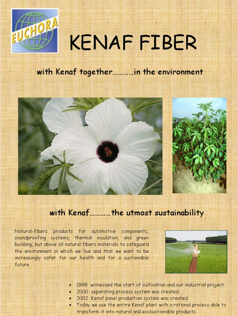 Kenaf Products