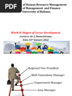 Levinson's Life Structure Theory Explained | PDF | Adults | Emotions