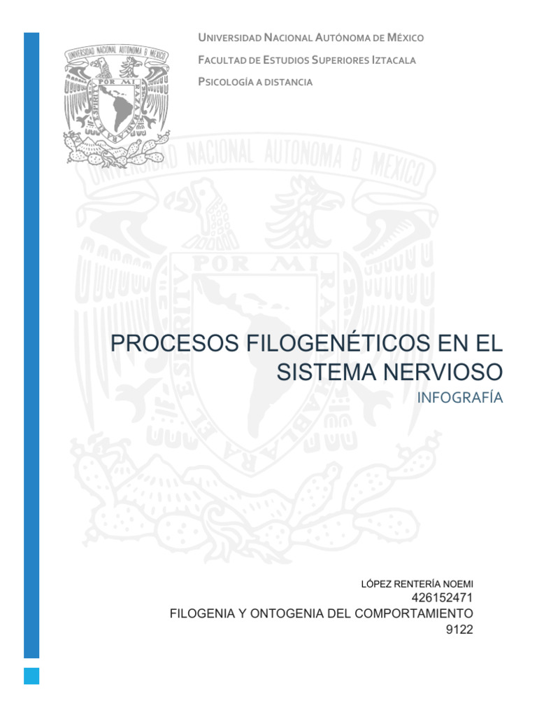 infografía PDF | PDF