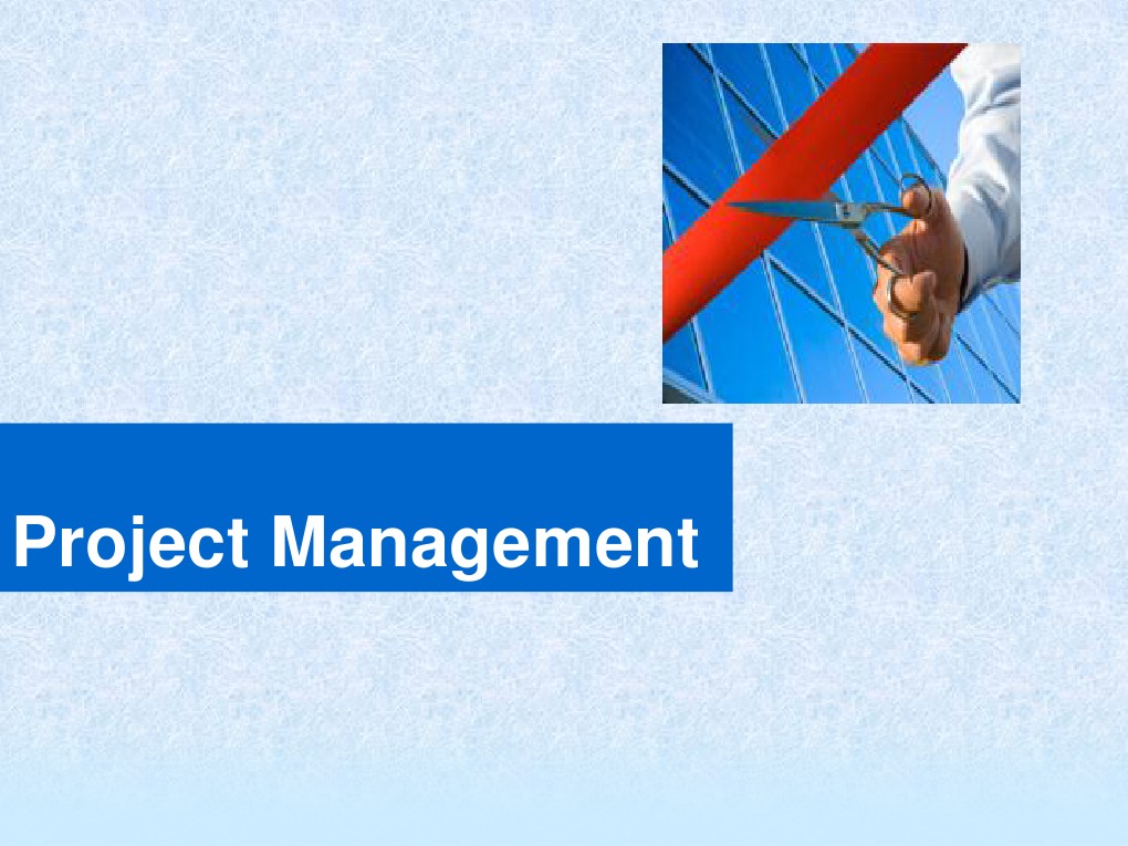 Modified PM | Download Free PDF | Project Manager | Project Management