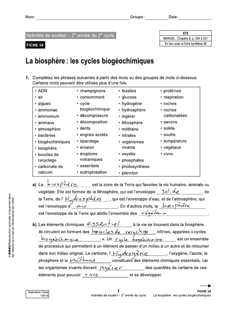 Cycles Biogeochimiques FT (1) | PDF