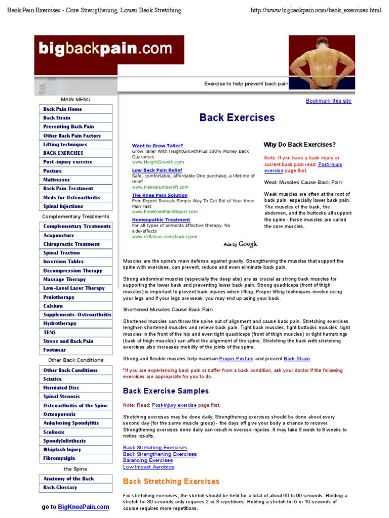 Back Pain Exercises - Core Strengthening, Lower Back Stretching | PDF ...