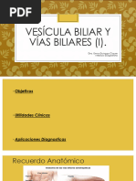 Vesícula en Porcelana y Signo de WES | PDF | Ciencia y matemáticas
