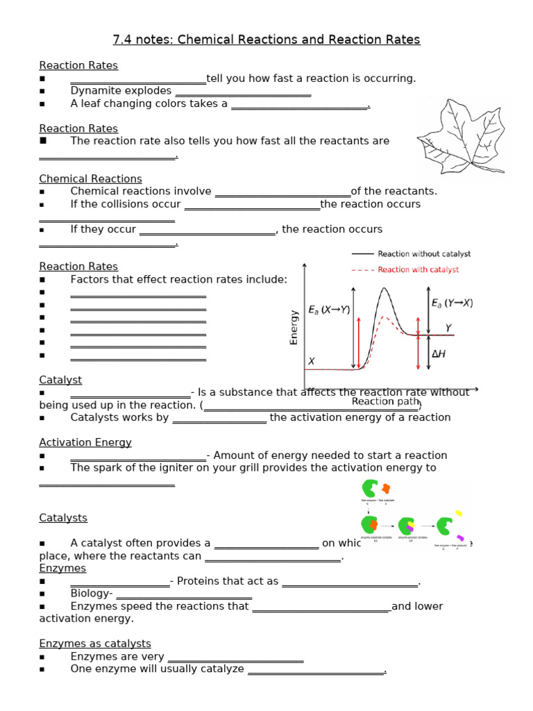 Chemical Reactions and Reaction Rates 7.4 Scaffolded | PDF | Enzyme ...