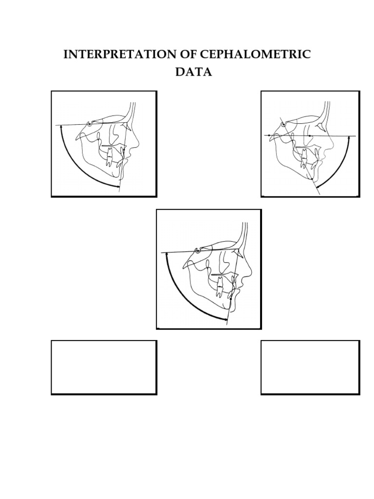 Ceph Handout | PDF | Primate Anatomy | Human Anatomy