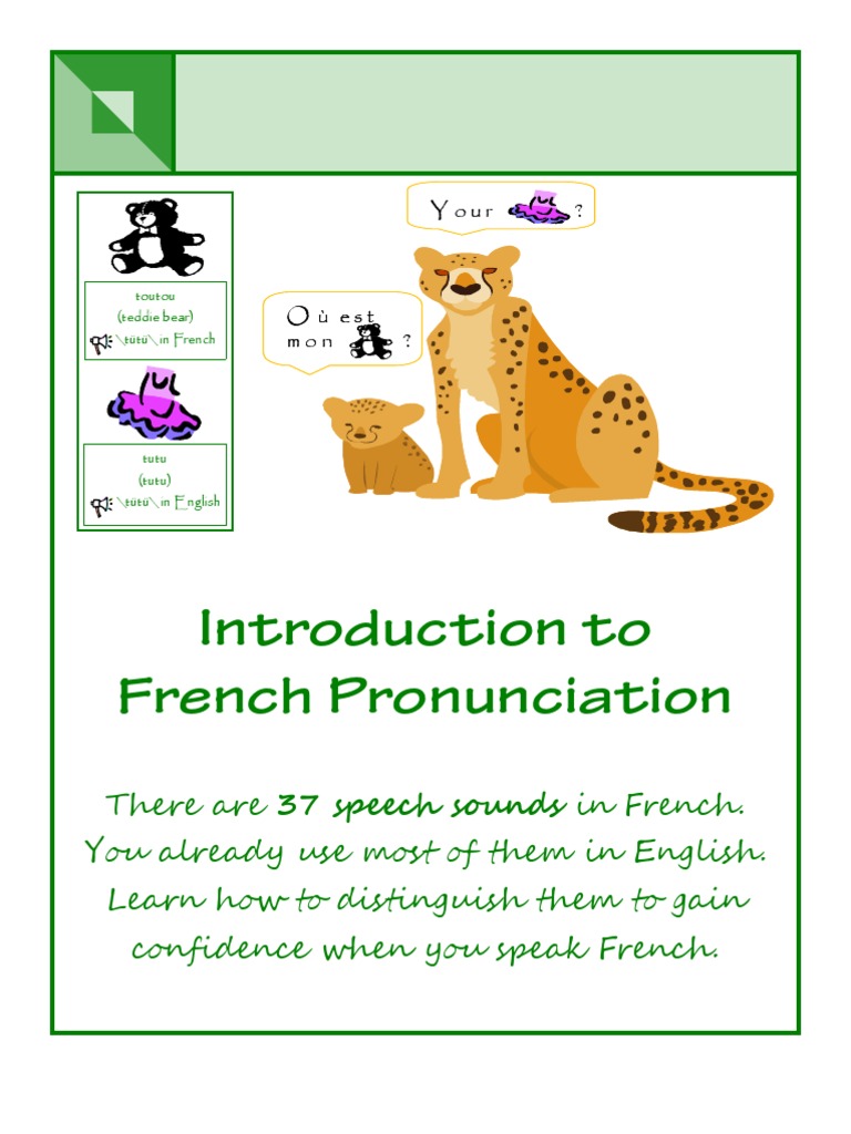 French Pronunciation Essentials Guide | PDF | Grammatical Gender | Syllable