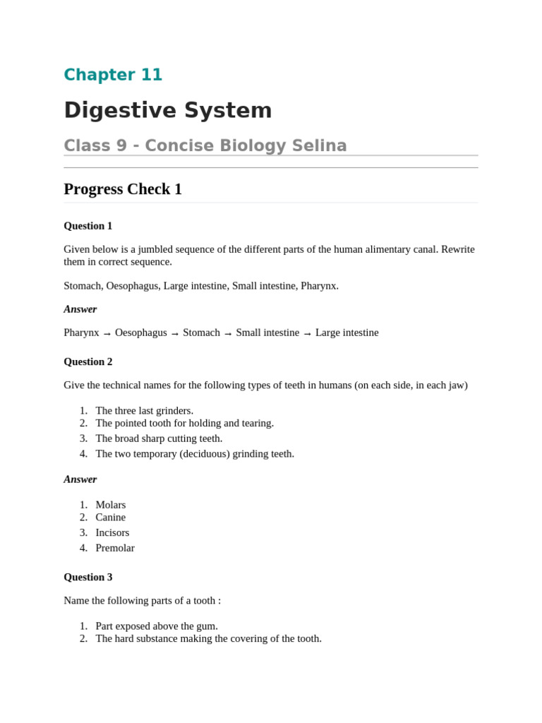 Class 9 Digestive System Notes Icse | PDF | Digestion | Stomach