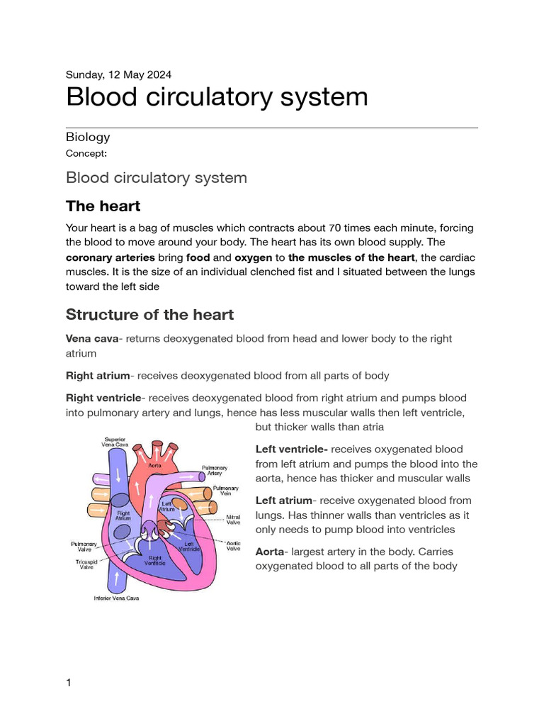 blood circulatory system-biology | PDF | Atrium (Heart) | Heart