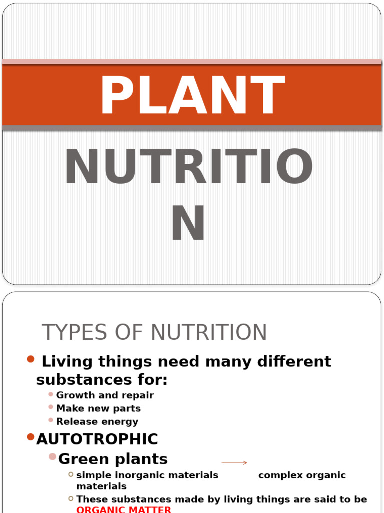 Plant Nutrition Ppt | PDF | Photosynthesis | Nutrition