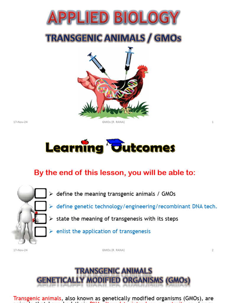 Transgenic Animals Gmos | PDF | Genetically Modified Organism | Genetic ...