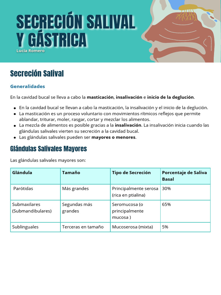 6. Secreción Salival y Gástrica | PDF