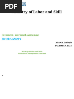 EEO-1 Job Classification Overview | PDF