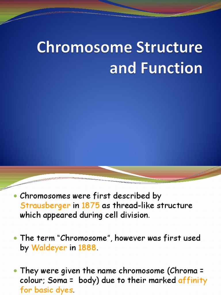Chromosome Structure and Function | PDF | Histone | Ploidy