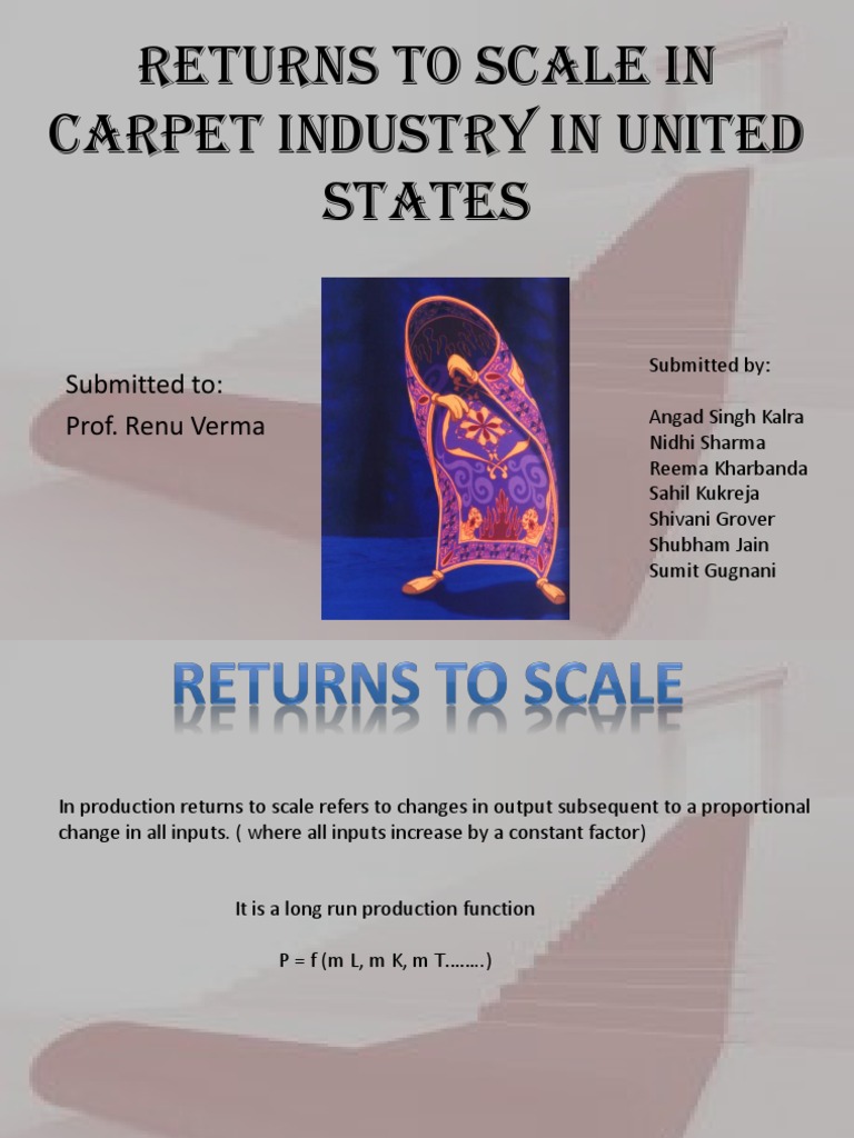 Carpet Industry in US | PDF | Economies Of Scale | Production Function