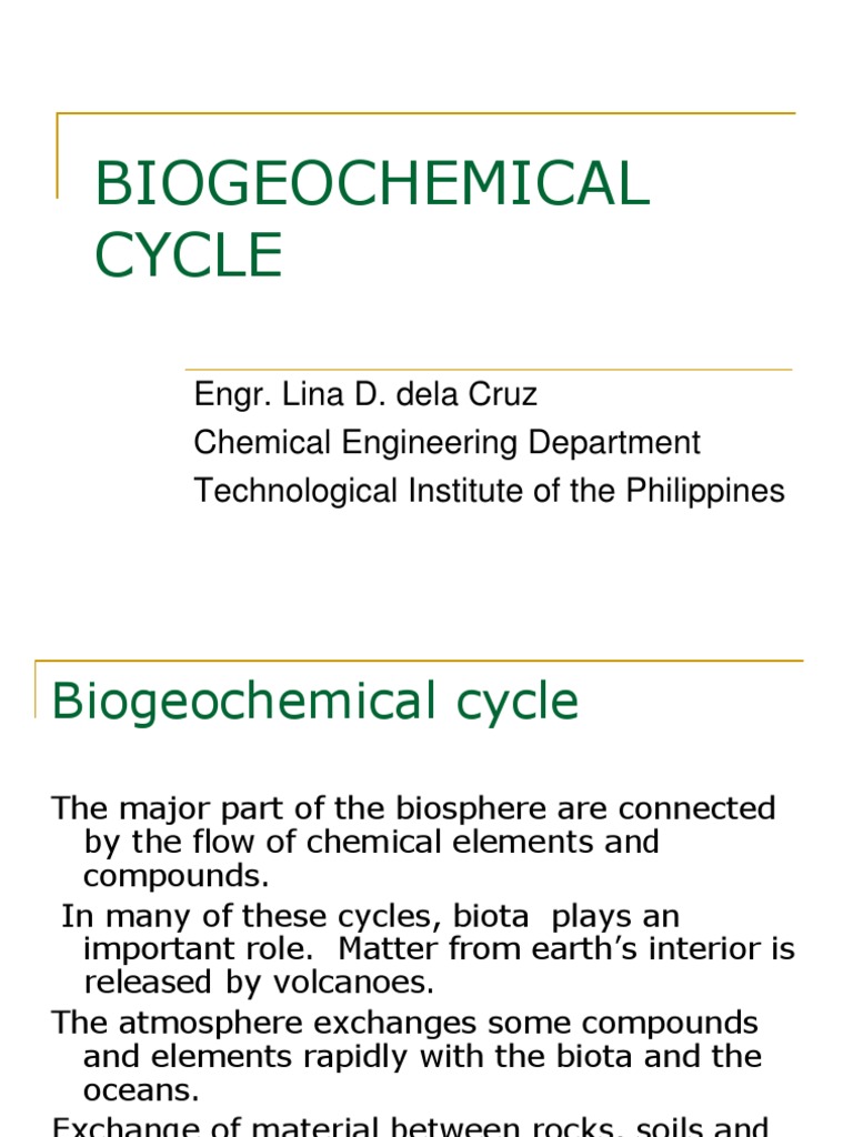 Biogeochemical Cycles Overview | PDF | Carbon Cycle | Nitrogen