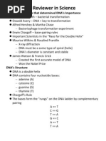 Lactase Persistence Case Study | PDF | Repressor | Promoter (Genetics)