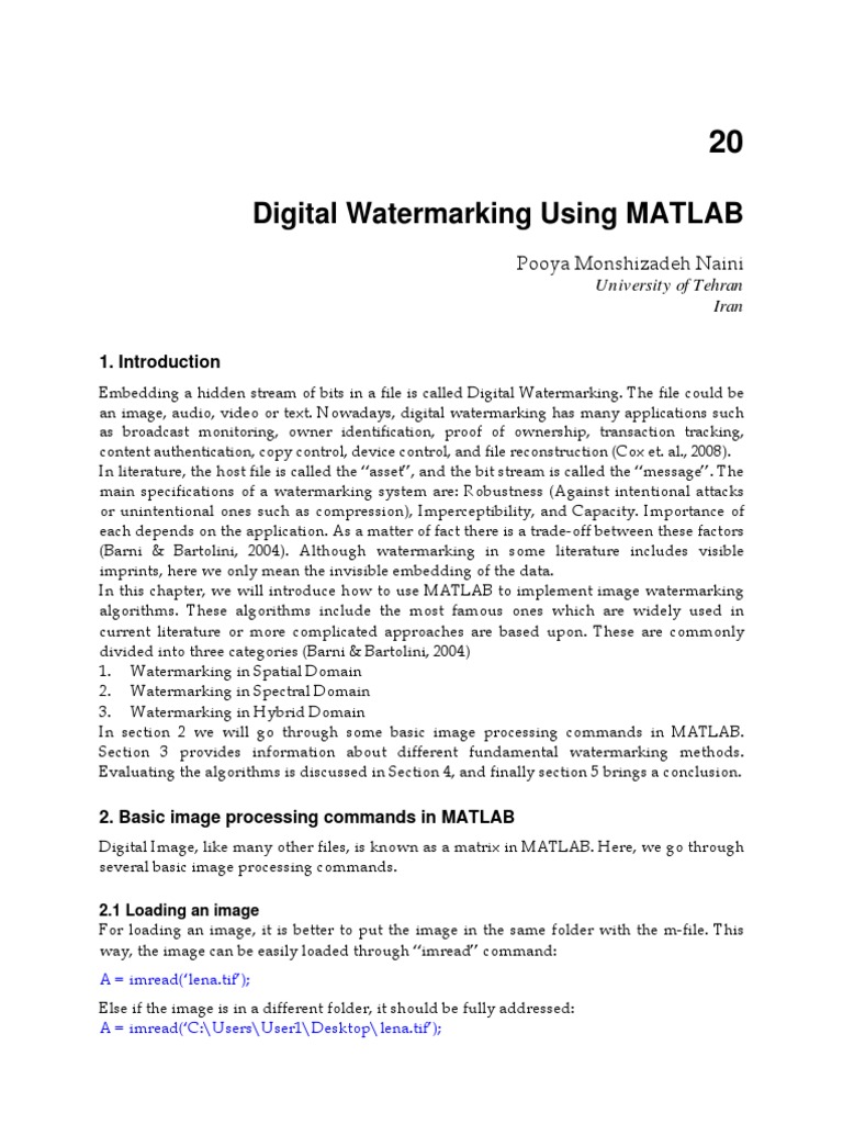 MATLAB Digital Watermarking Techniques | PDF