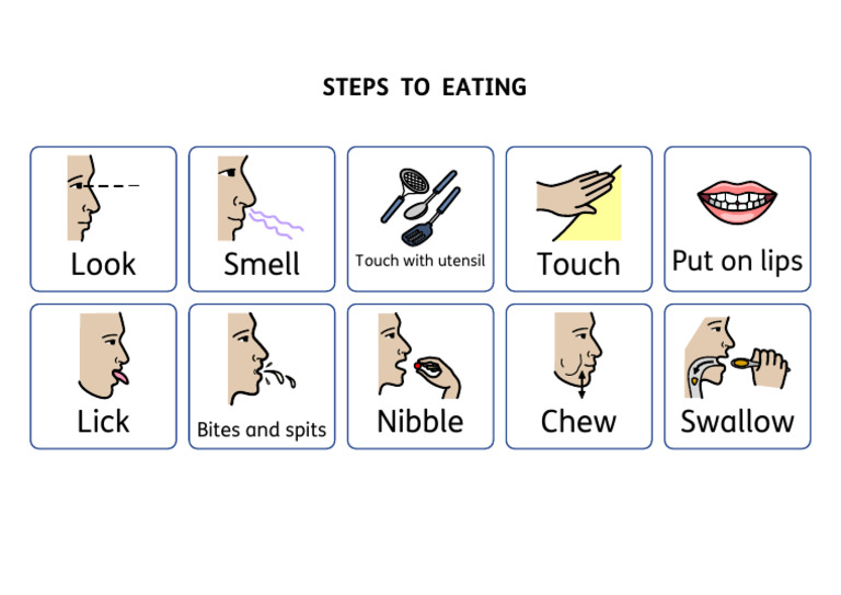 Visual Chart _Steps to Eating | PDF