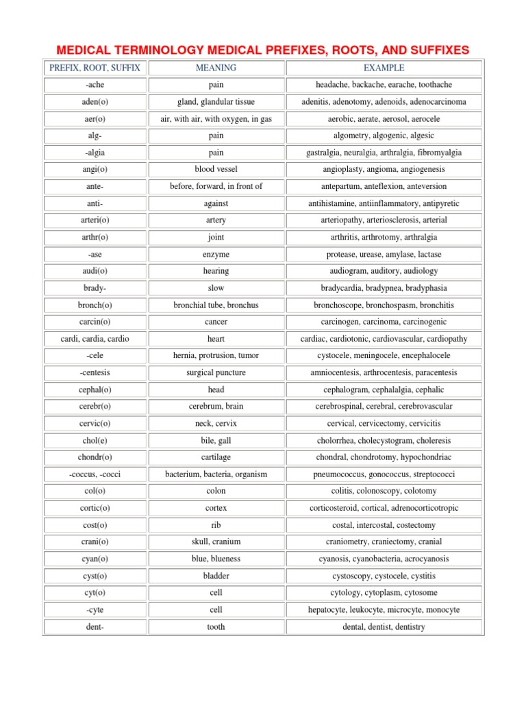 Medical Terminology Medical Prefixes, Roots, and Suffixes: Prefix, Root, Suffix Meaning Example ...