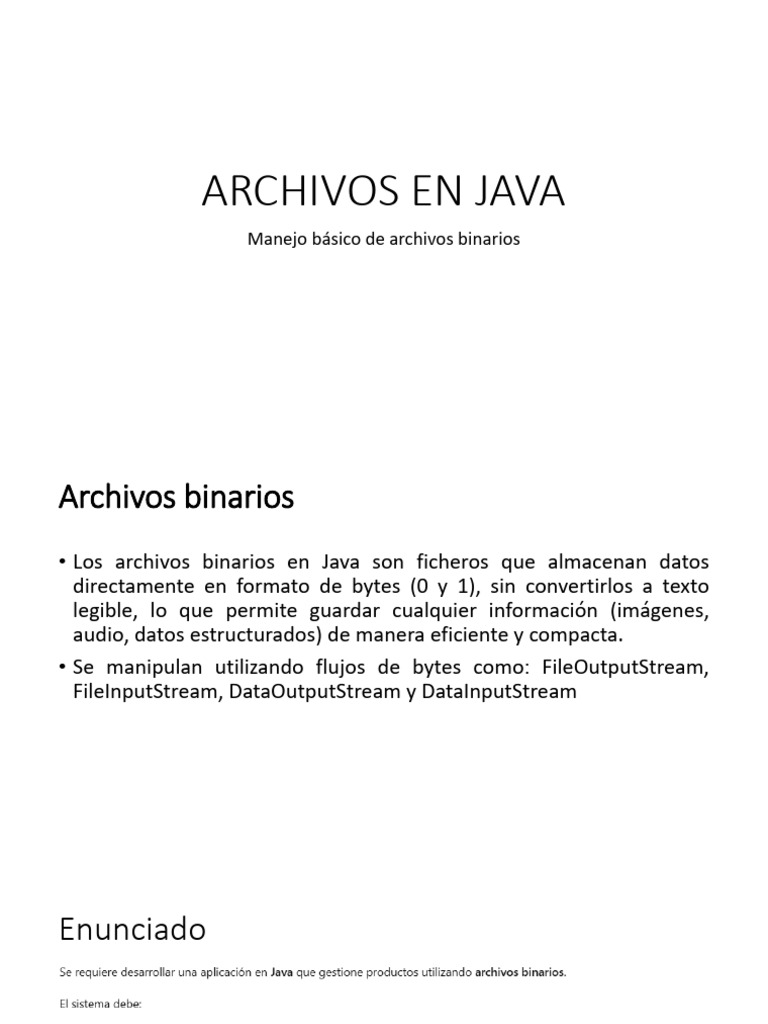 Archivos Binarios en Java | PDF