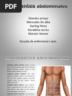 Cuadrantes Anatomicos | PDF