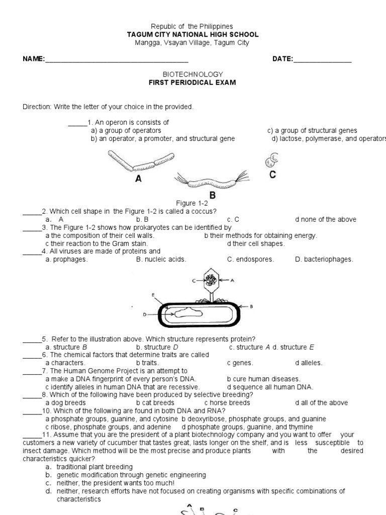 First Grading Exam Biotechnology | PDF | Rna | Messenger Rna