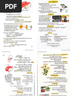 Lungs (Play) | PDF