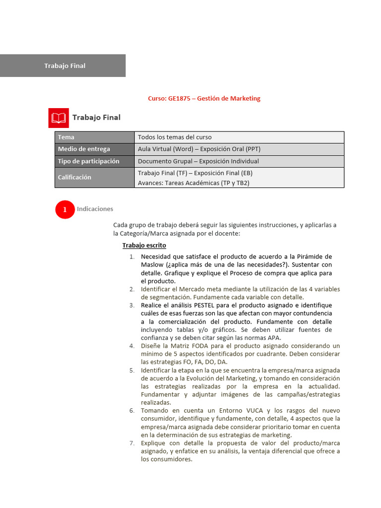 Trabajo Final Gestión de Marketing VERSION 202502 AGOSTO | PDF ...