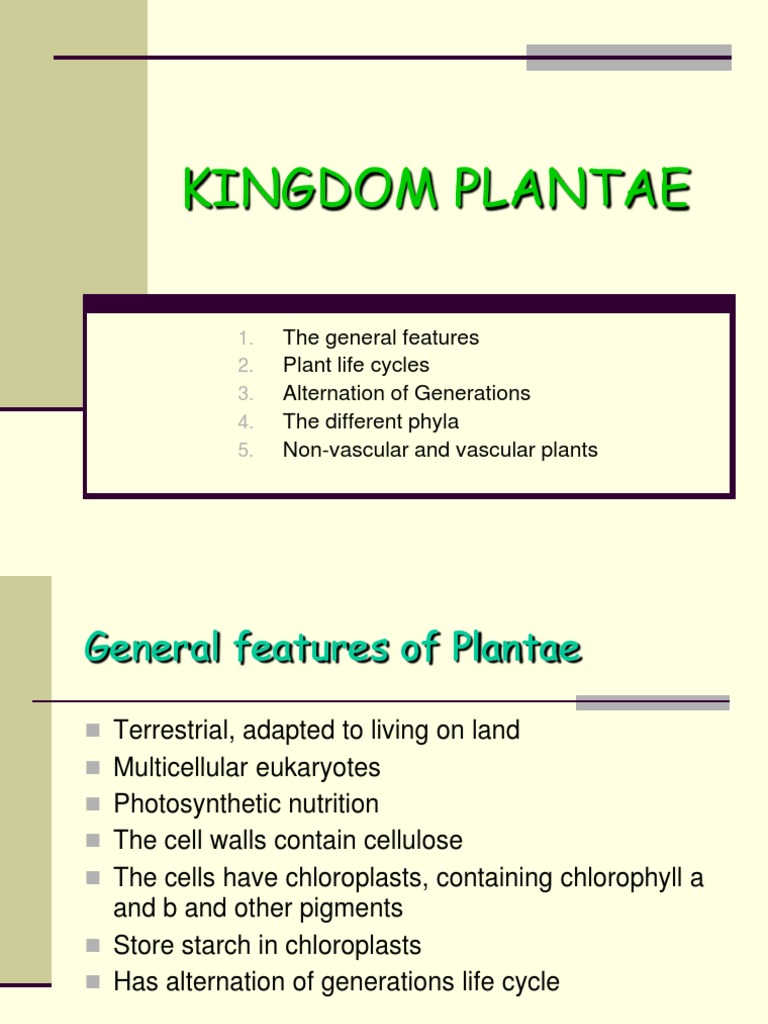 Kingdom Plantae Cells