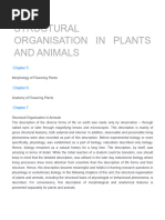 Anatomy of Zea Mays: Structure Overview | PDF | Plant Stem | Maize