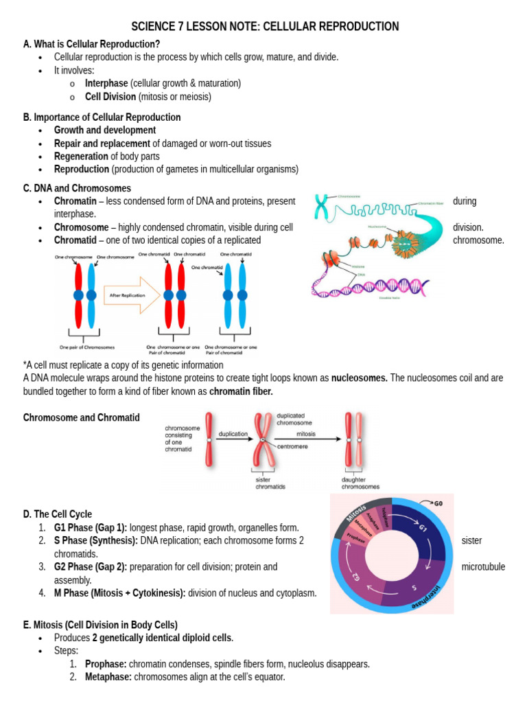 SCIENCE 7 Cellular Reproduction, Cell Cycle, Levels of Biological ...
