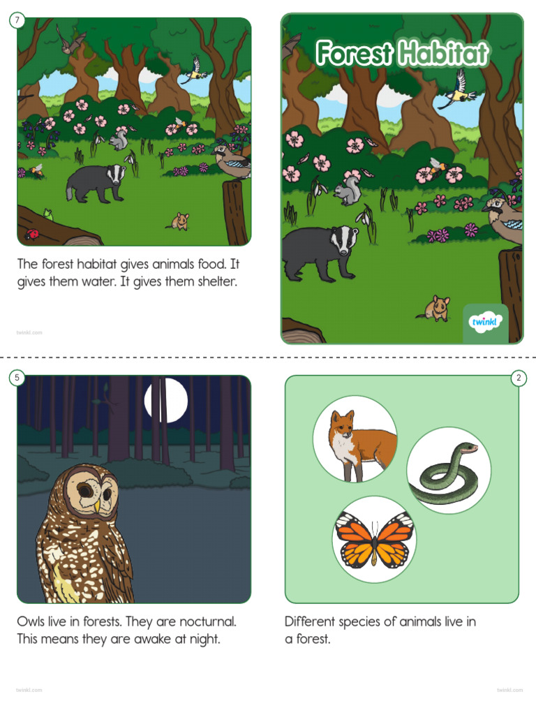 Forest Habitat Emergent Reader | PDF