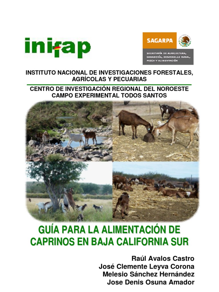 Folleto Nutricion Caprinos Bcs | PDF | Leche | Alimentos
