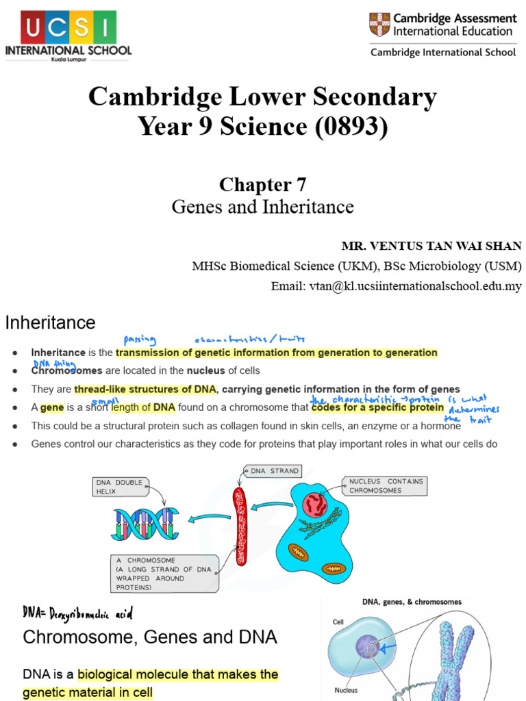 Chapter 7 Genes and Inheritance in Human Evolution by | PDF | Ploidy ...