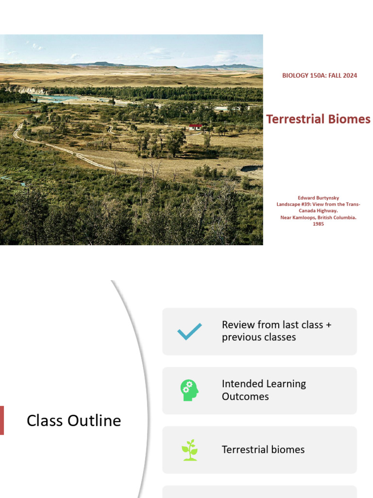 BIOL150A Class4 Fall2024 Terrestrial Biomes | PDF | Forests | Natural ...