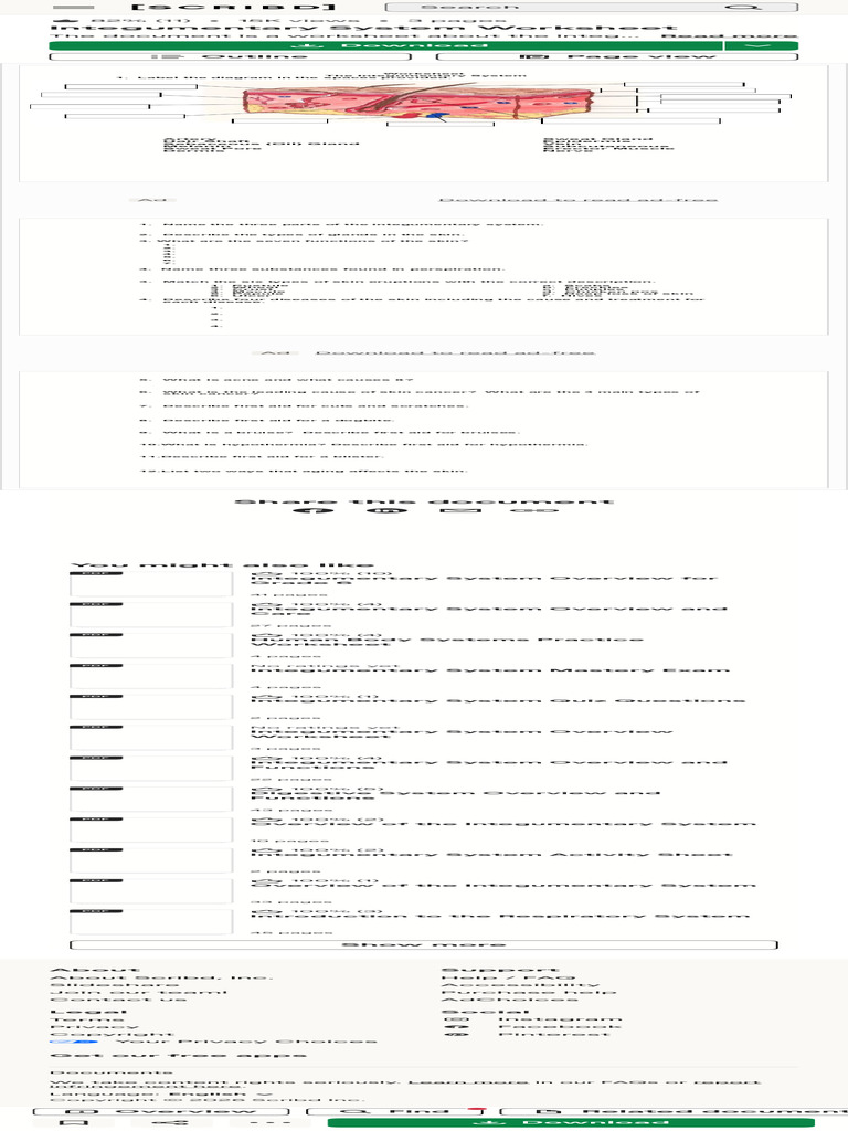 Integumentary System Worksheet PDF | PDF | Skin | Integumentary System