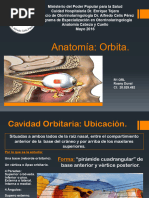 Anatomía de la región superciliar | PDF | Anatomía humana | Cabeza y ...