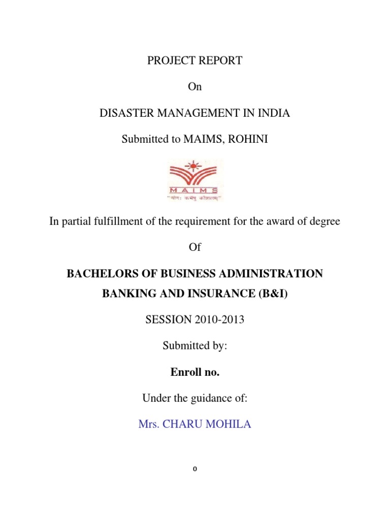 Disaster Management Project Report | PDF | Tsunami | Emergency Management