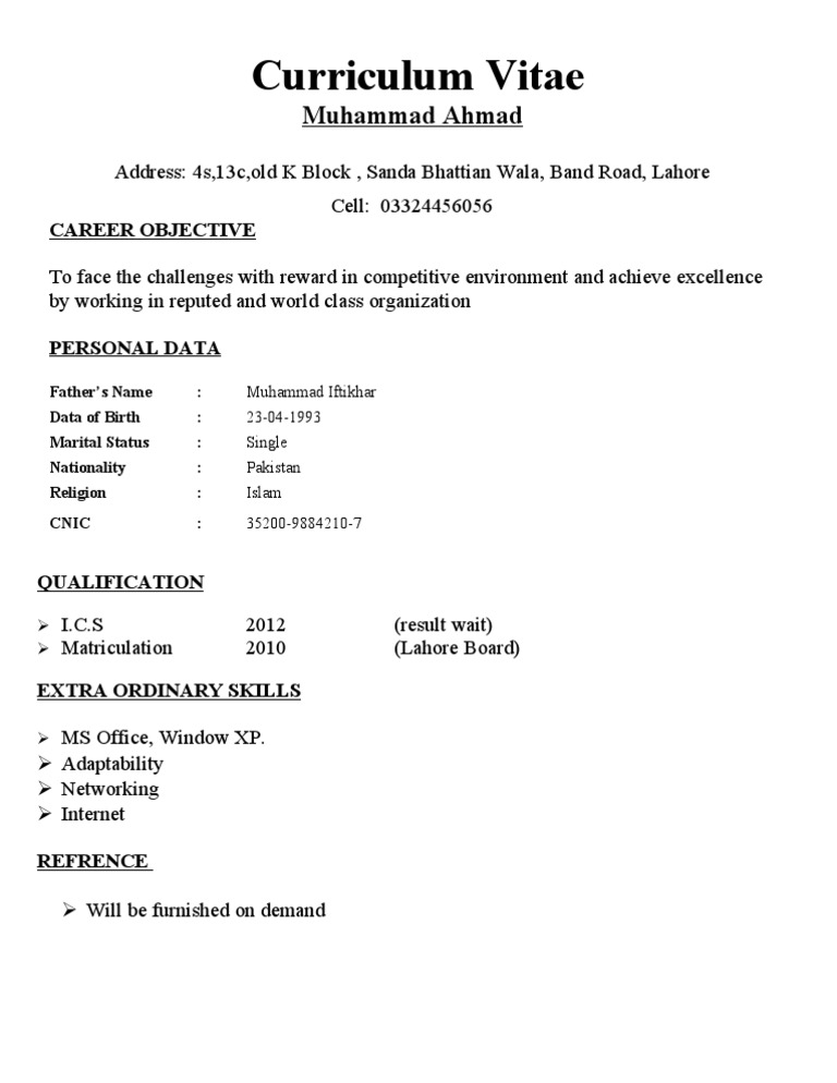 Muhammad Ahmad's CV and Skills Summary | PDF