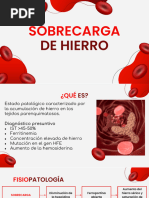 Hemosiderina y Hemosiderosis: Diagnóstico y Efectos | PDF