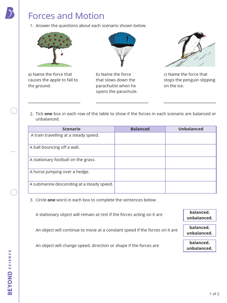KS3 Forces and Motion Differentiated Homework Worksheet LA | PDF ...