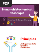 Ventana IHC Staining Protocol Guide | PDF