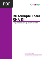 RNeasy Mini Kit Protocol Overview | PDF