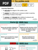 Cardiac Cycle A-Level Worksheet | PDF | Heart Valve | Diastole