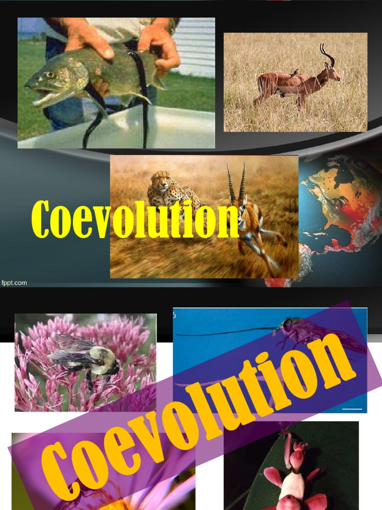 Coevolution | PDF