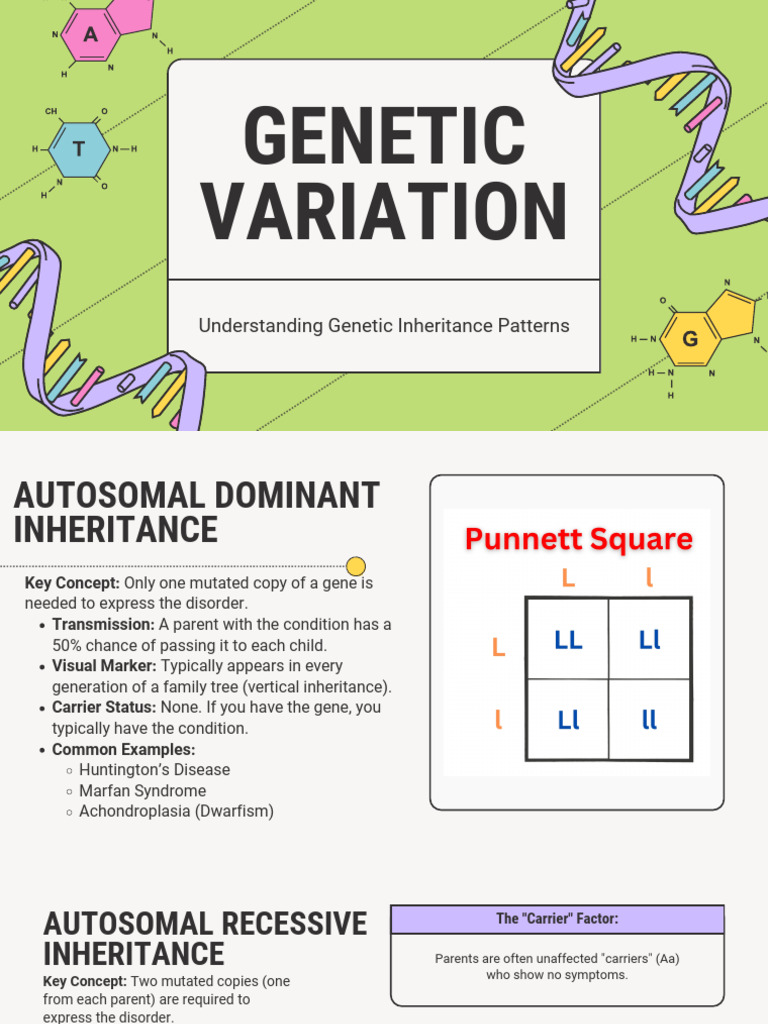 Autosomal Dominant and Recessive Traits | PDF | Genetic Disorder | Genetics