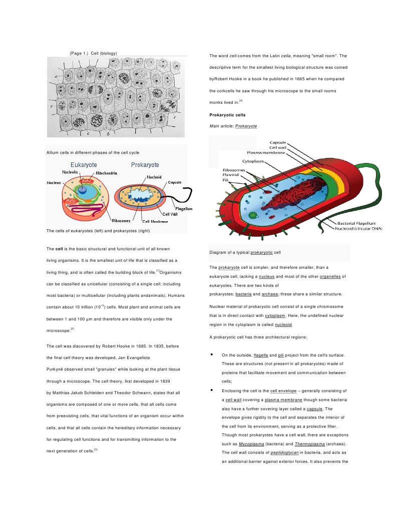 Prokaryotic Cells: Main Article: Prokaryote | PDF | Endoplasmic ...